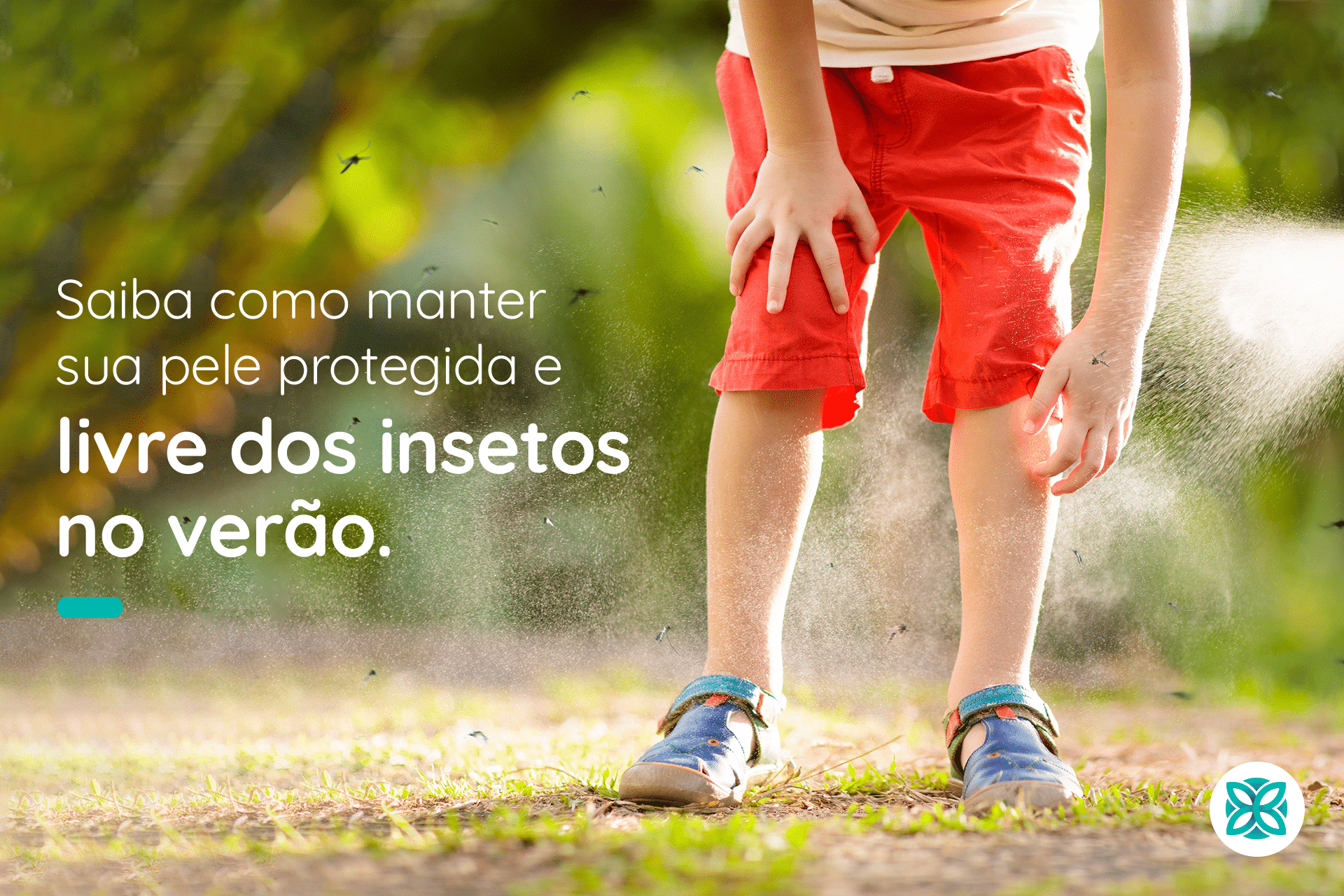 Saiba como manter sua pele protegida e livre dos insetos no verão ...