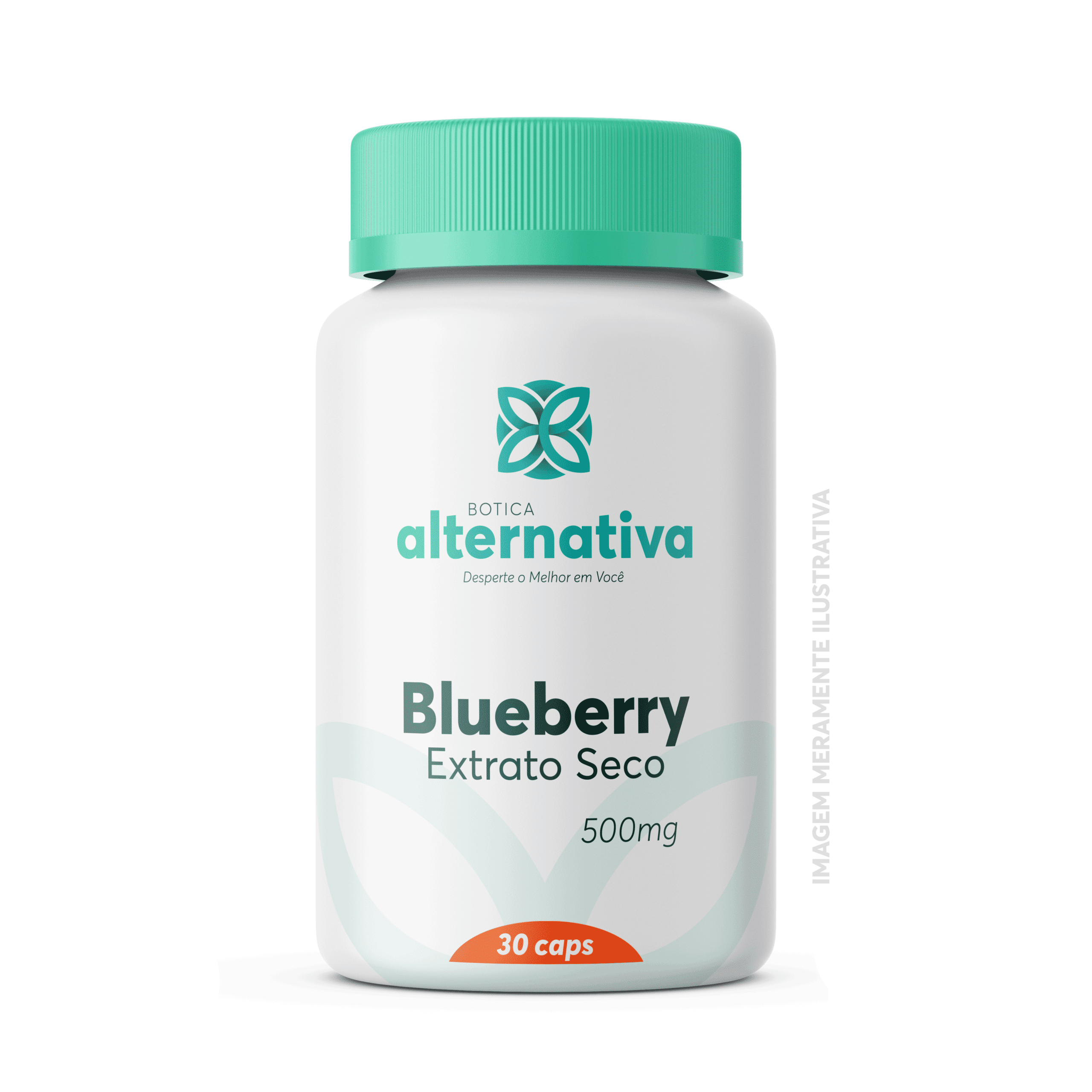 Blueberry/ Mirtilo 500mg - Antioxidante - 30 doses | Botica Alternativa